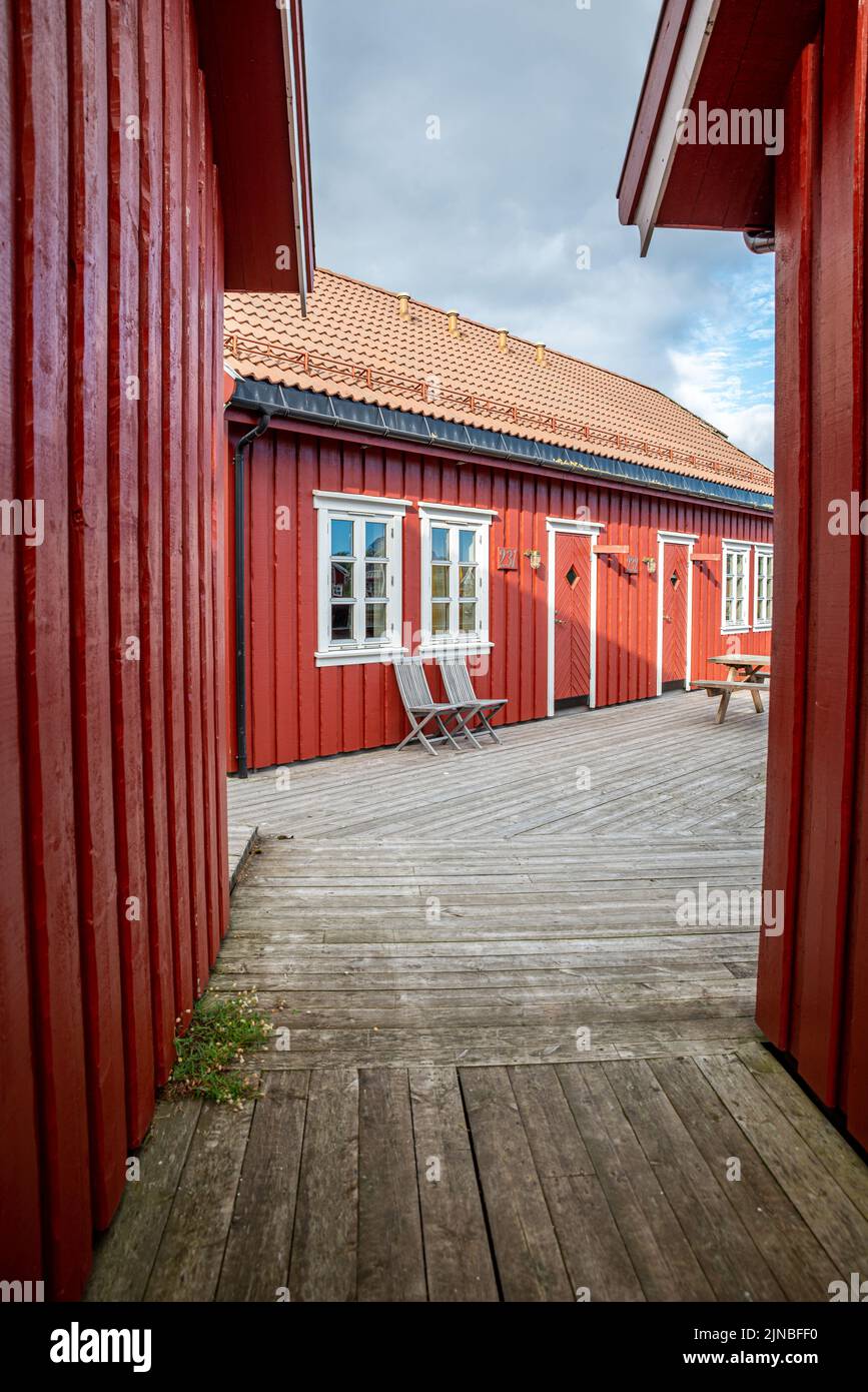 Red rorbuer and stockfish hi-res stock photography and images - Alamy