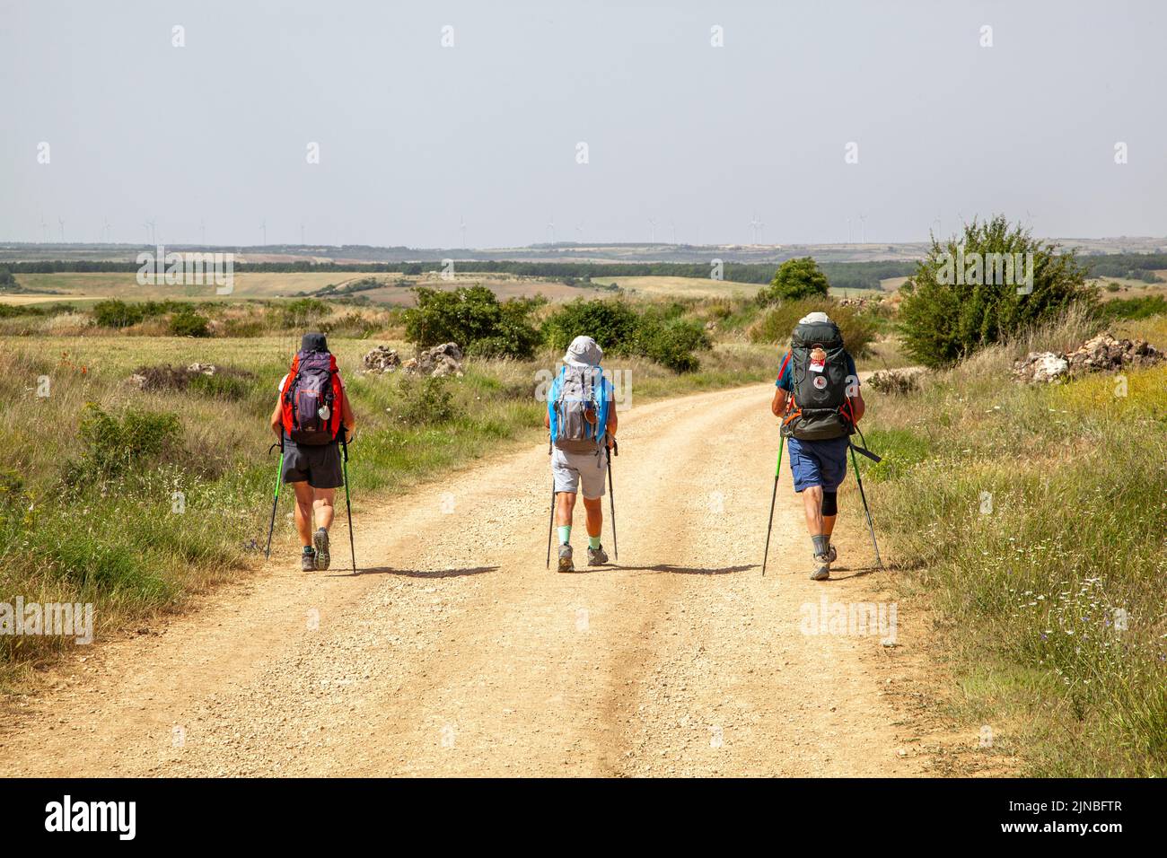 Pilgrims walking the Camino de Santiago pilgrimage route the way of St ...