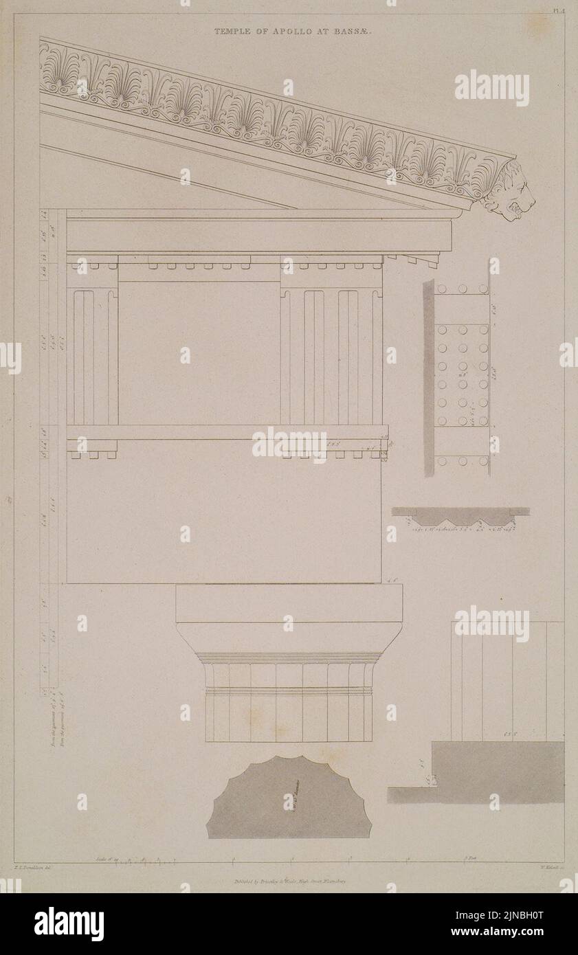 Temple of Apollo at Bassae - Order of the peristyle - Cockerell Charles ...
