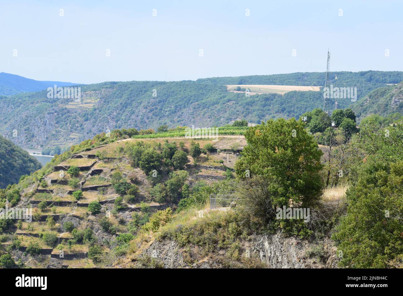 vineyard terrace with no more vine Stock Photo - Alamy