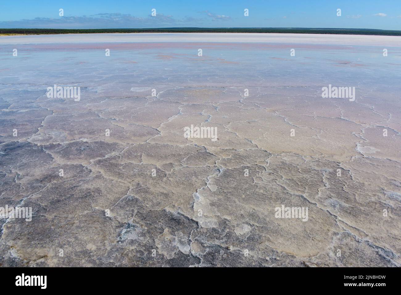Salt lagoon,Dunaliella salina coloration, La Pampa, Argentina Stock ...