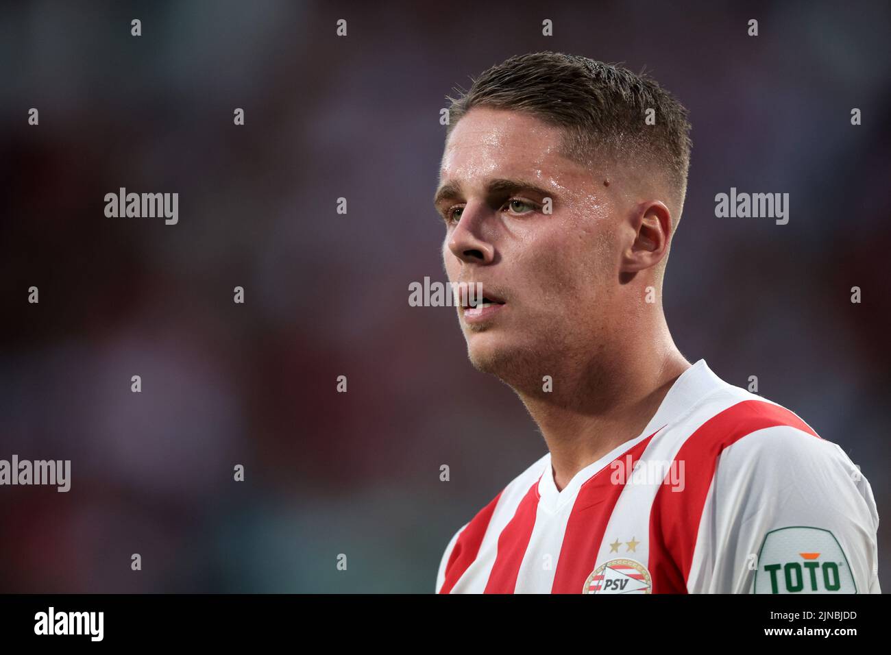 EINDHOVEN - Joey Veerman of PSV during the UEFA Champions League third ...