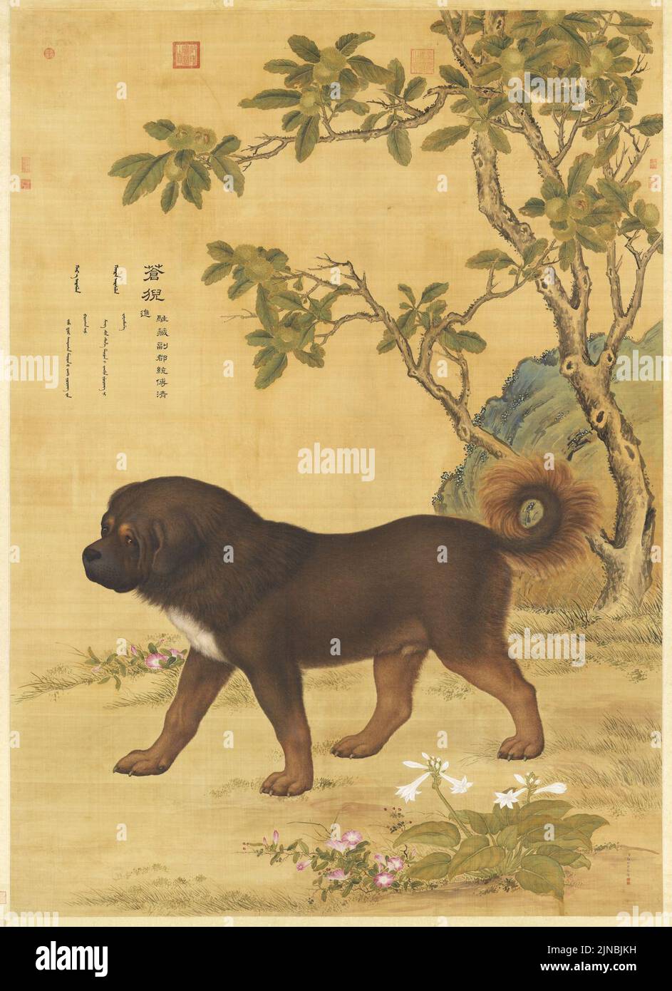 Ten Prized Dogs 03 Stock Photo - Alamy