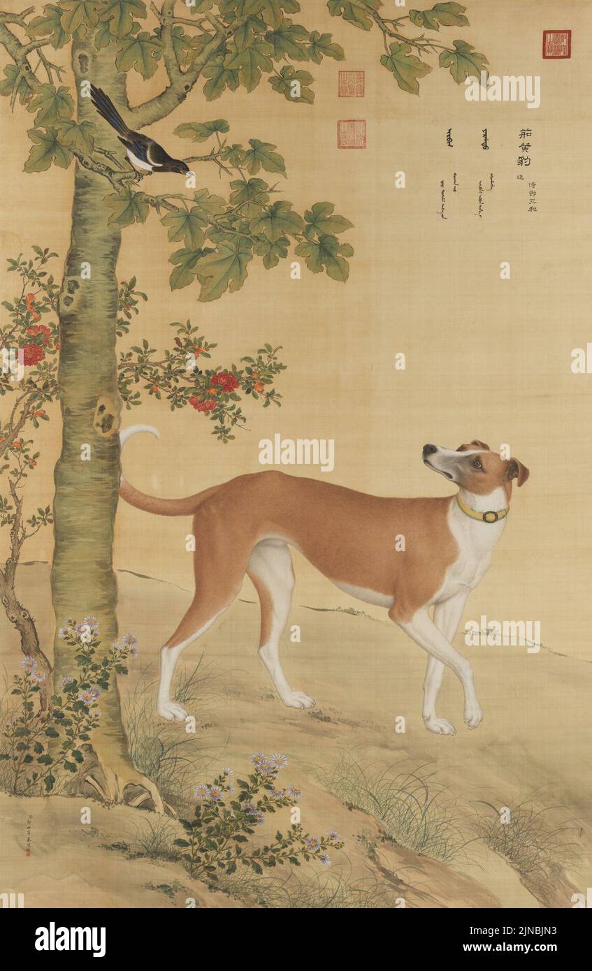 Ten Prized Dogs 08 Stock Photo - Alamy