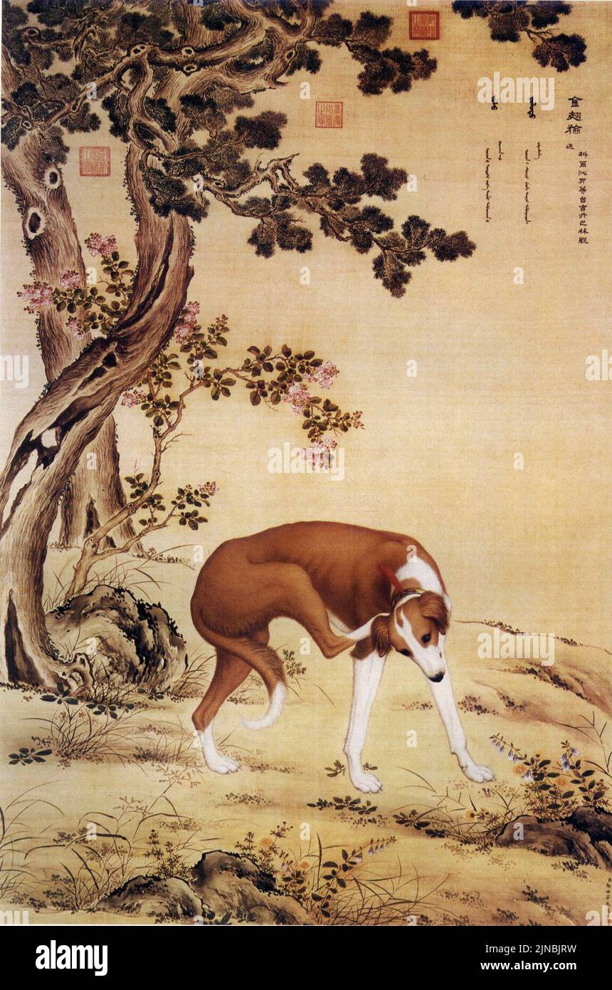 Ten Prized Dogs 05 Stock Photo - Alamy