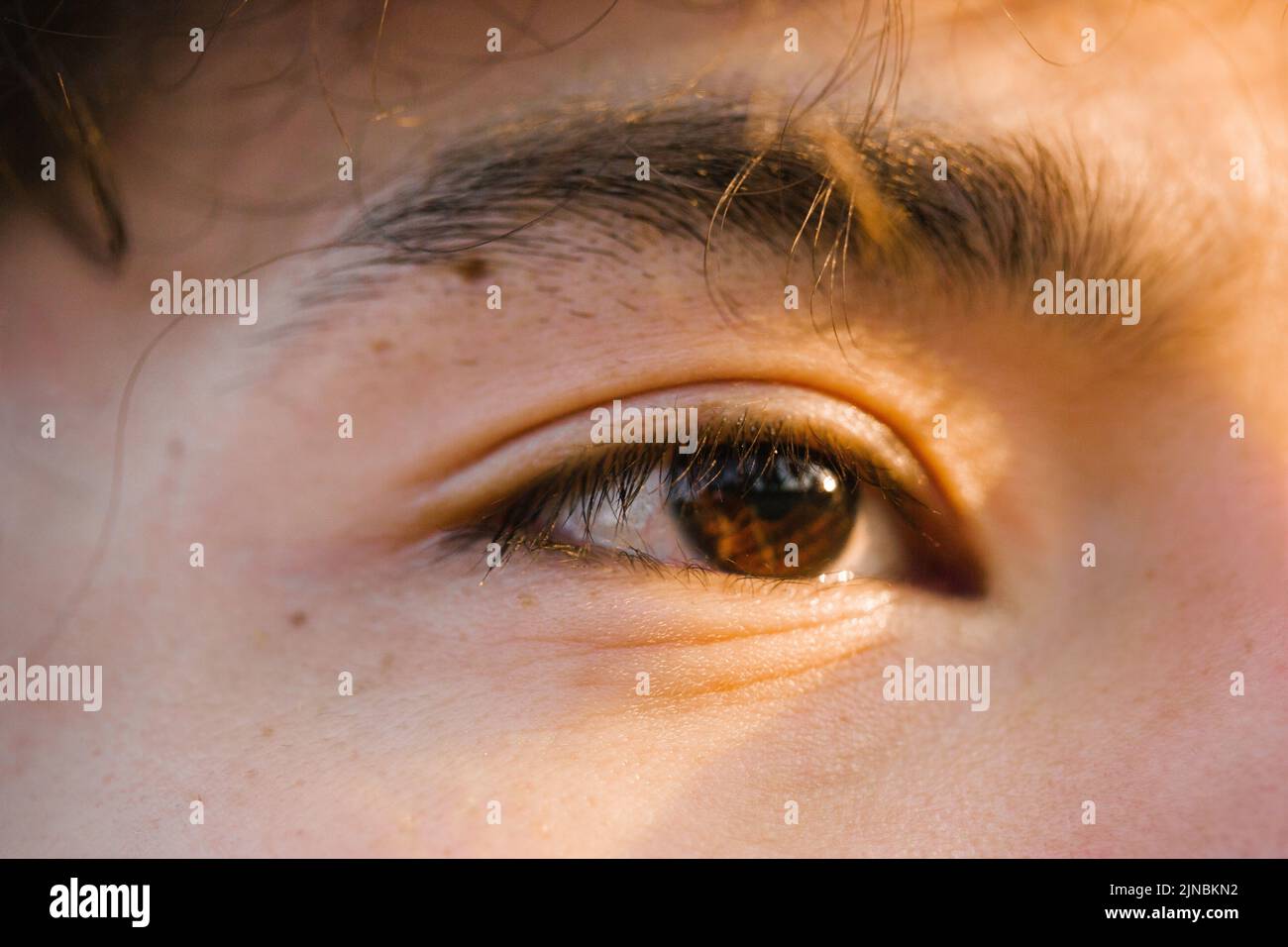 A beautiful brown Asian eye, dark eyelashes, eyebrow up close. Macro ...