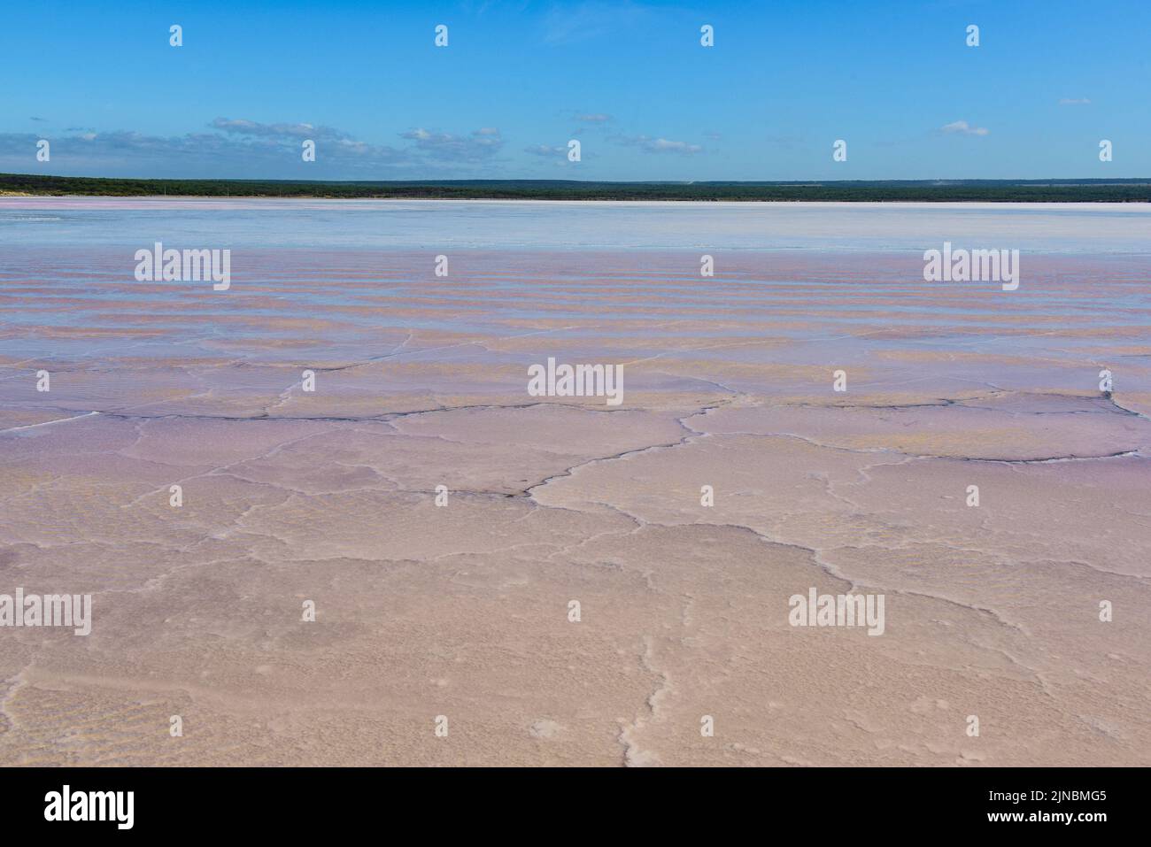 Salt lagoon,Dunaliella salina coloration, La Pampa, Argentina Stock ...