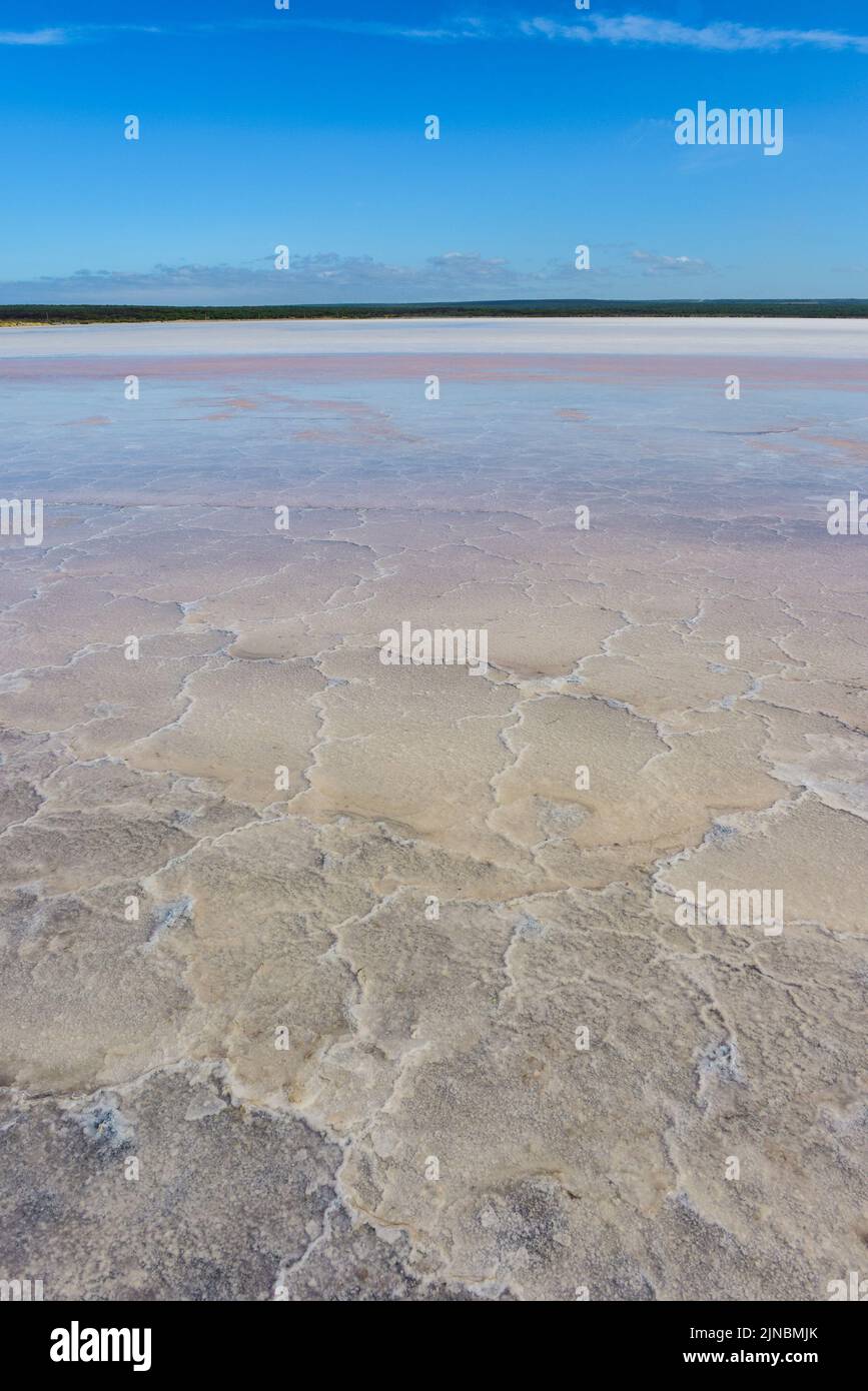 Salt lagoon,Dunaliella salina coloration, La Pampa, Argentina Stock ...