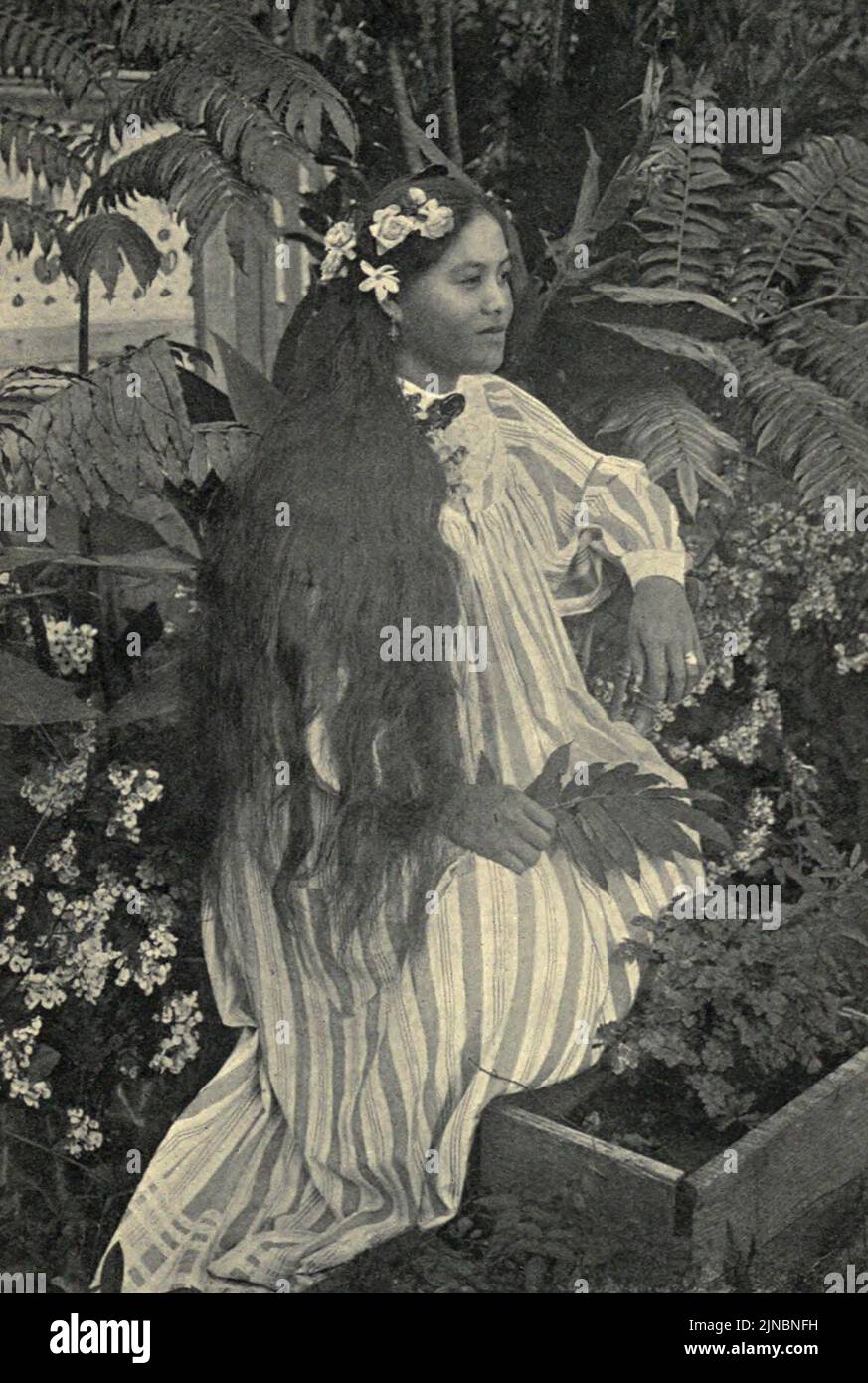 Rarotongan hi-res stock photography and images - Alamy