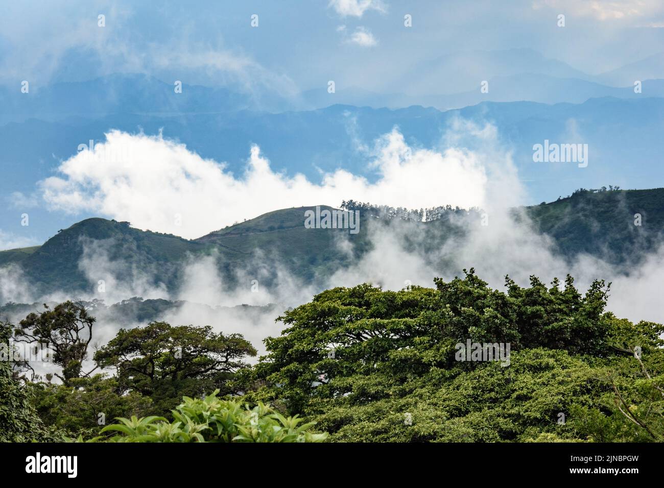 Cloud forest in Costa Rica Stock Photo - Alamy