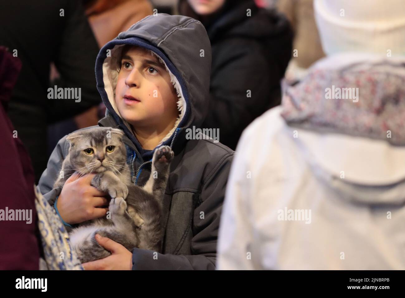 The Ukrainian refuge kid with a cat at the Eastern Railway Station in ...