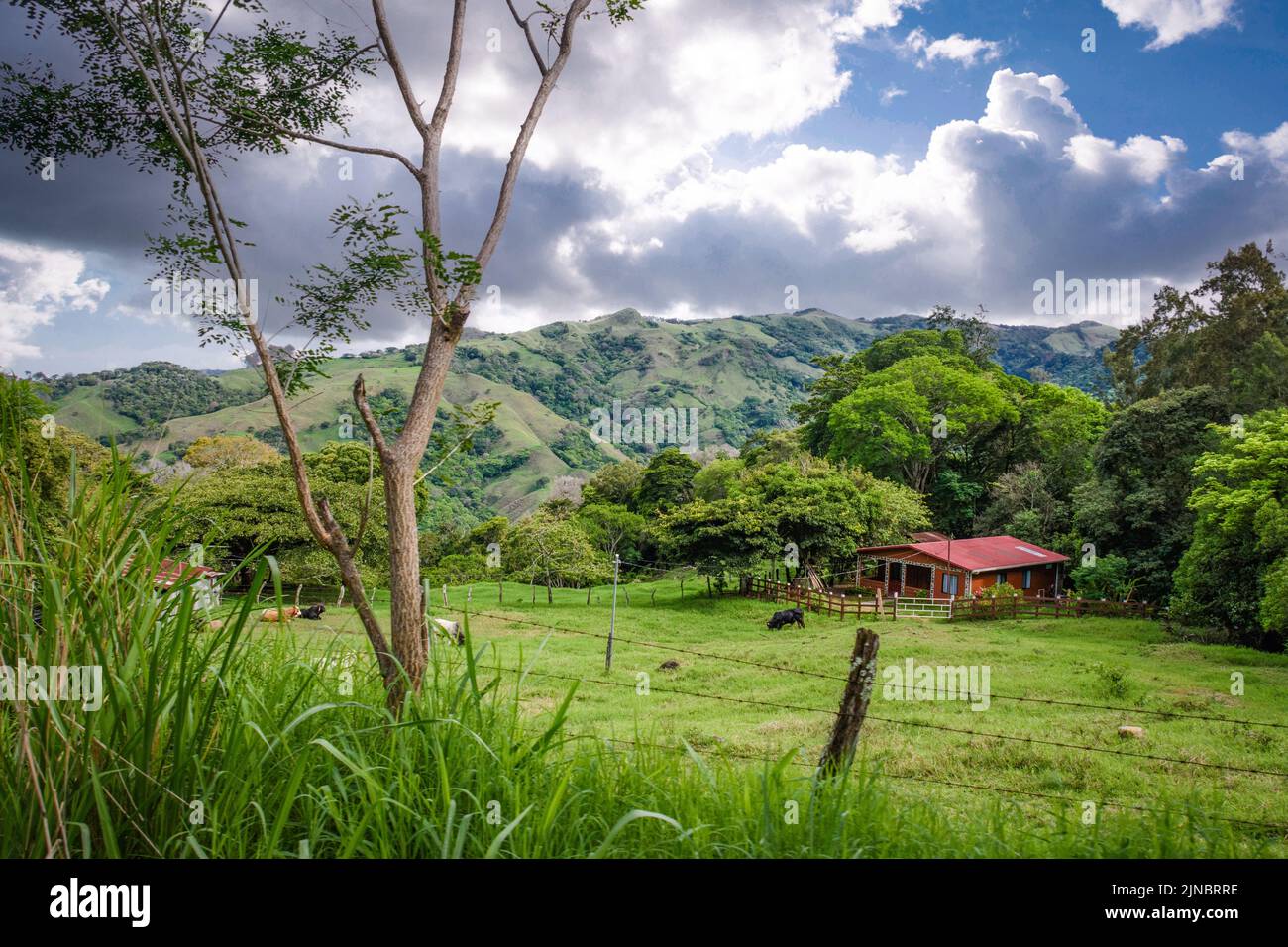 Farm in Costa Rica Stock Photo - Alamy