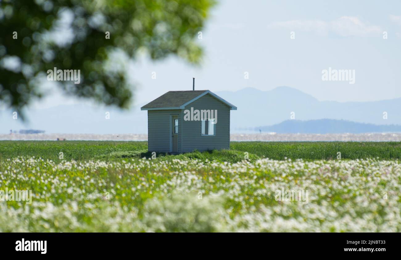 A little house in a field in the daytime Stock Photo - Alamy