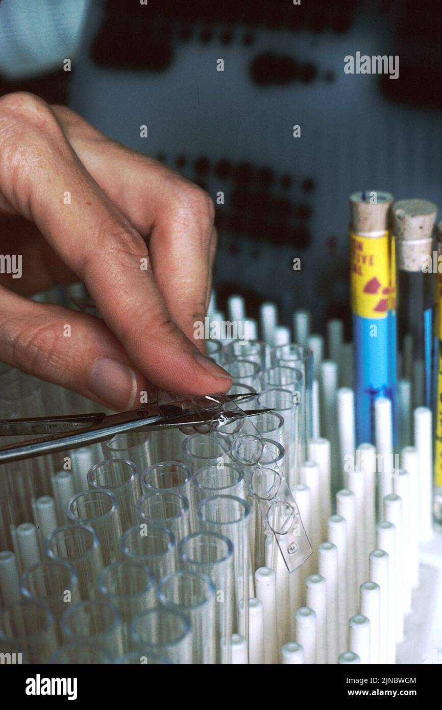 Test tubes (2 Stock Photo - Alamy