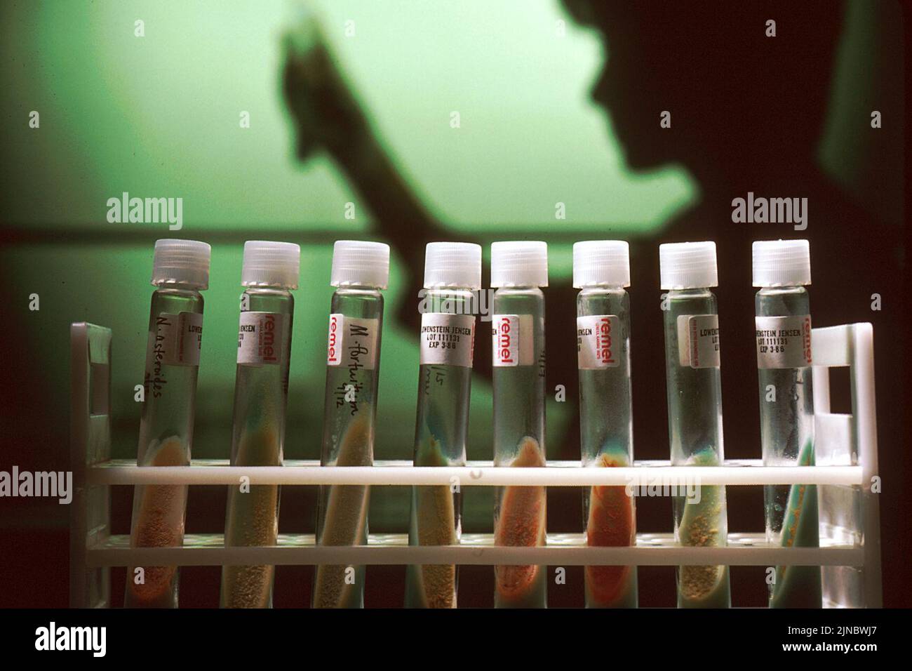 Test tubes (1 Stock Photo - Alamy