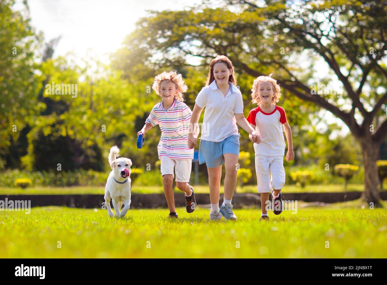 Family with kids running outdoor on sunny summer day. Siblings play in ...