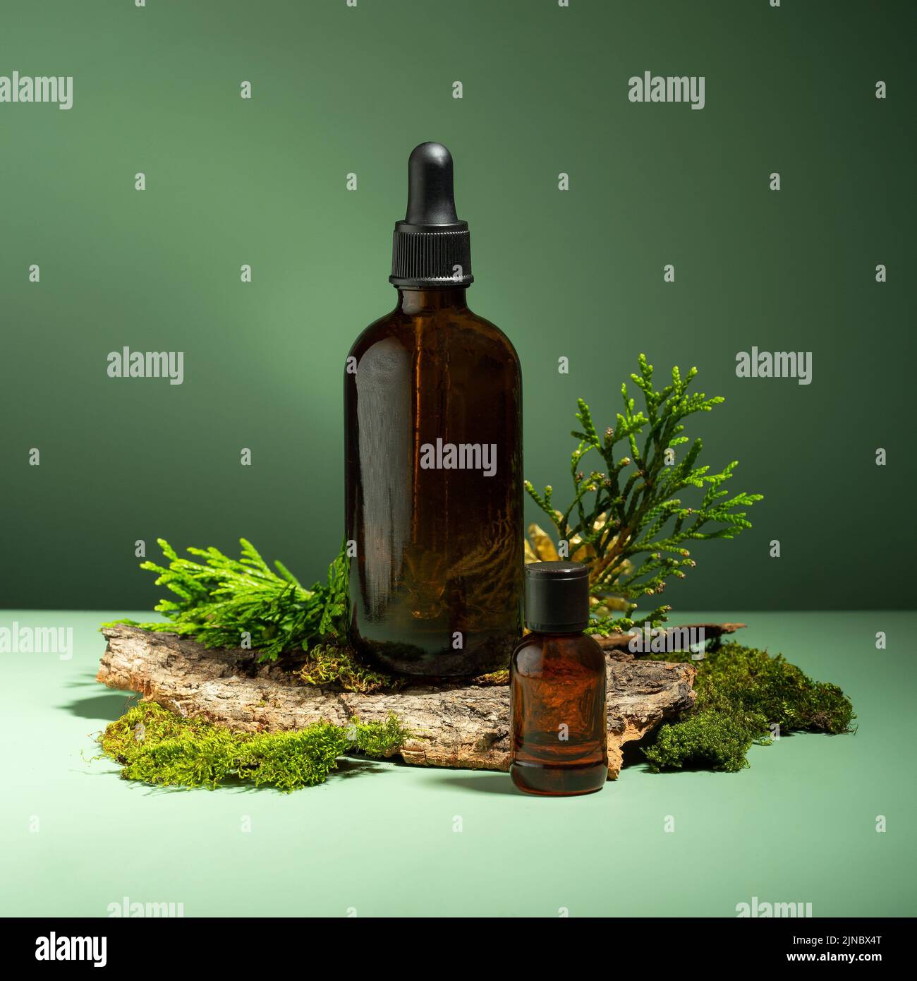 Conceptual composition of essential oils, moss and tree bark on a green ...