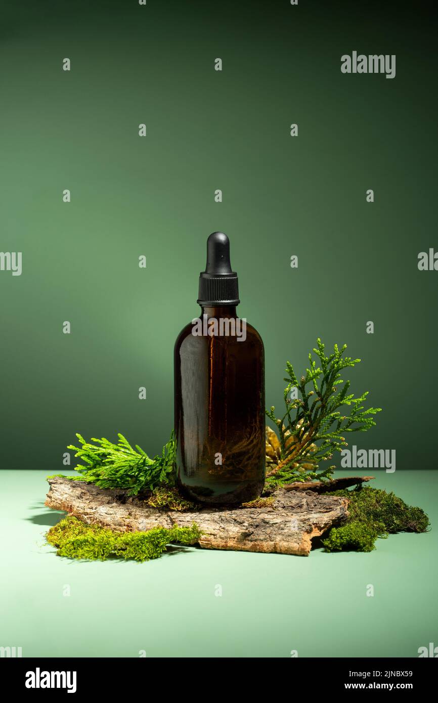 Conceptual composition of essential oils, moss and tree bark on a green ...