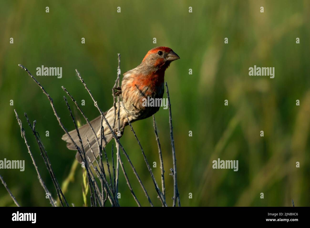 Eagle island state park idaho hi-res stock photography and images - Alamy