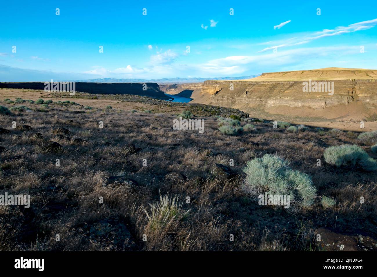 Snake River Canyon in Idaho, USA in Morley Nelson Snake River Birds of ...