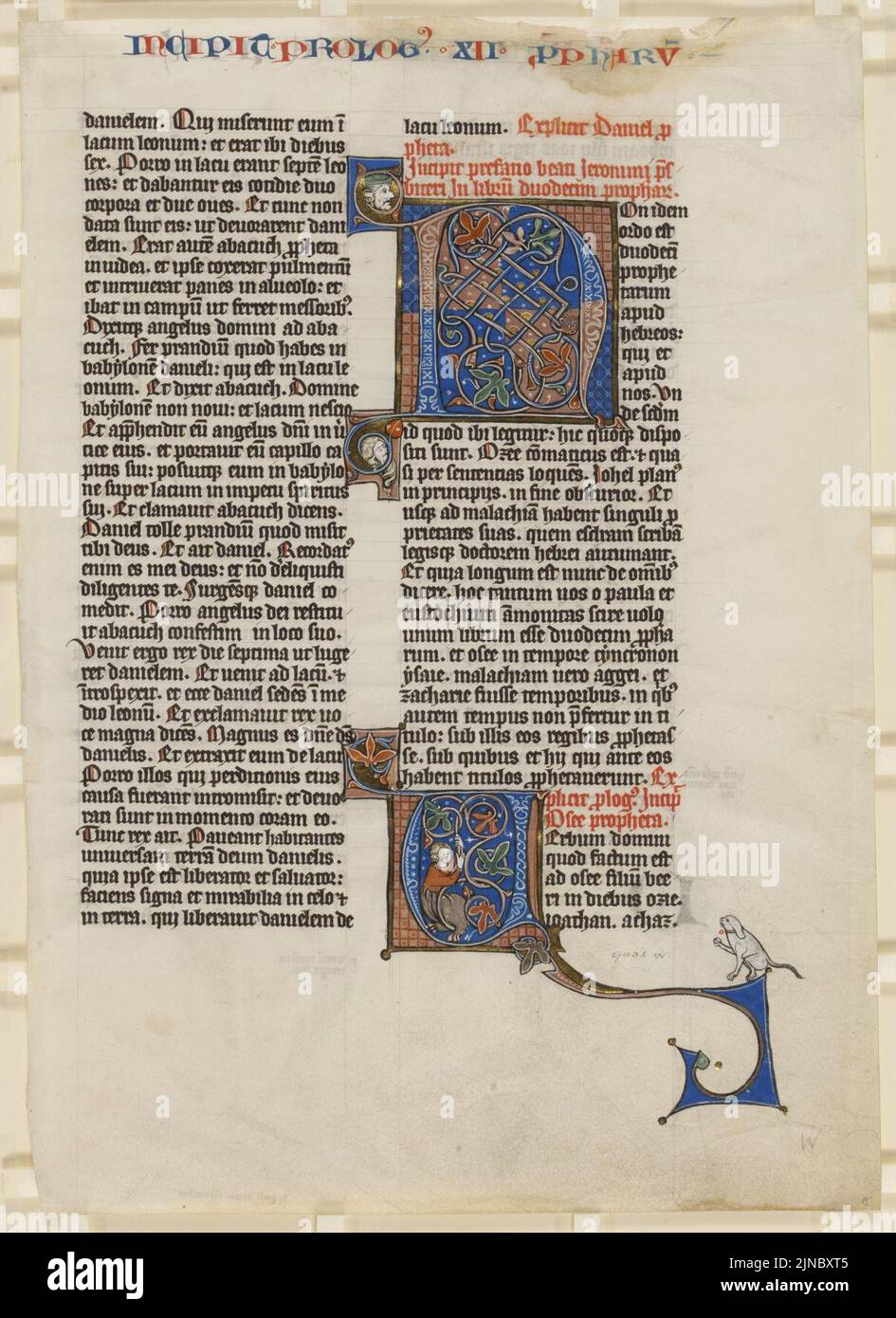 Teutonic Knights Bible Nieuwen Biesen, Maastricht (V&A) 2 Stock Photo ...