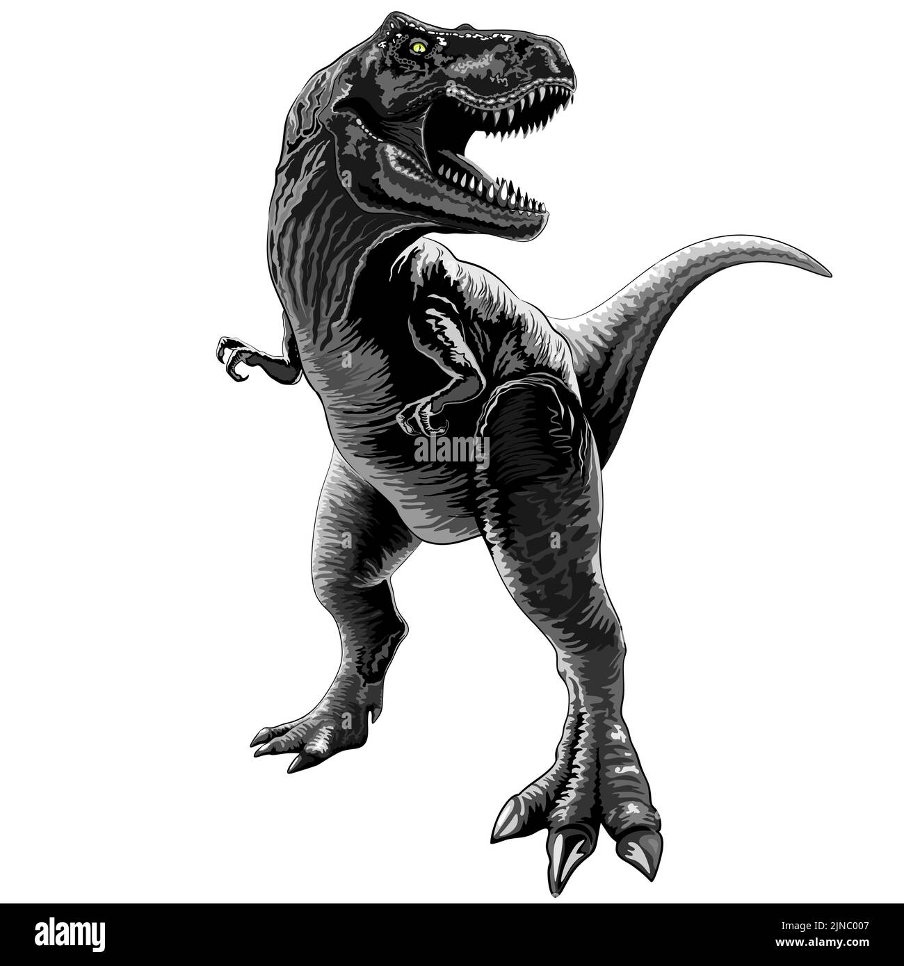 A standing and growling T-Rex figure isolated on a white background ...
