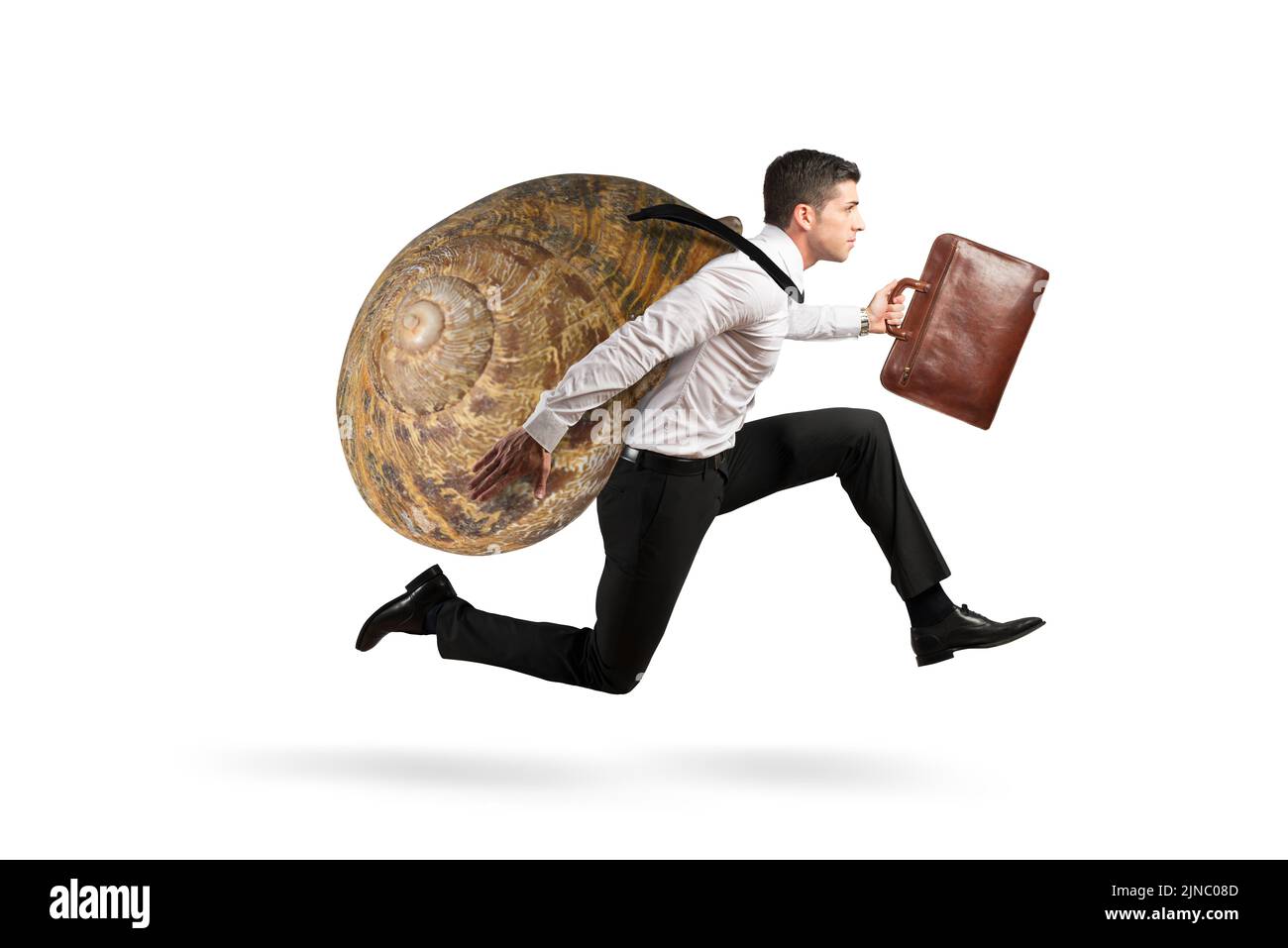 Shell like Cut Out Stock Images & Pictures - Alamy