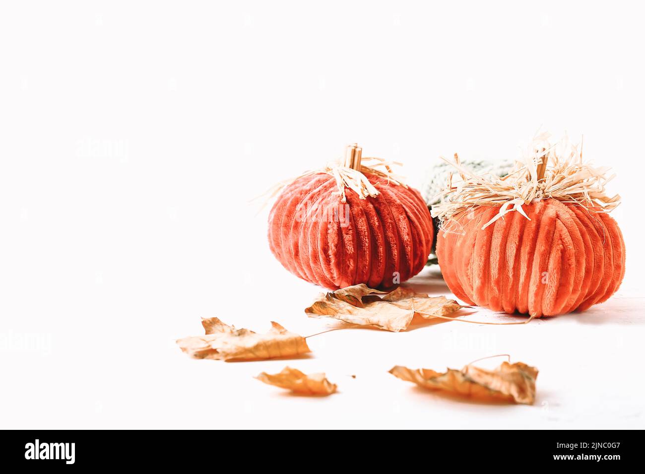 Autumn mood seasonal fall Cut Out Stock Images & Pictures - Alamy