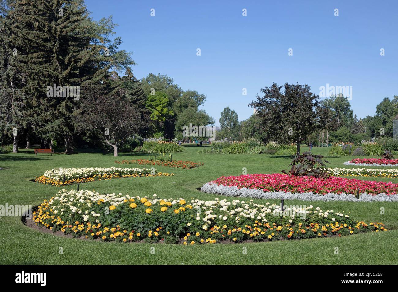 Green city park at summer season hi-res stock photography and images ...