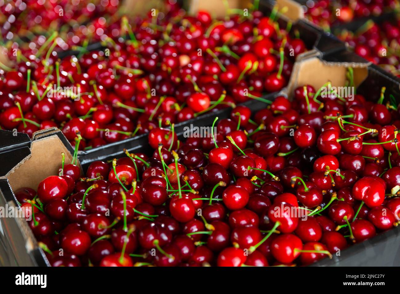 Fresh ripe appetizing cherry in crates, warehouse at factory Stock ...
