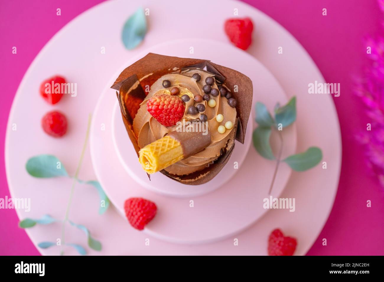 Sweets and desserts.Chocolate cupcake with raspberries and crispy ...