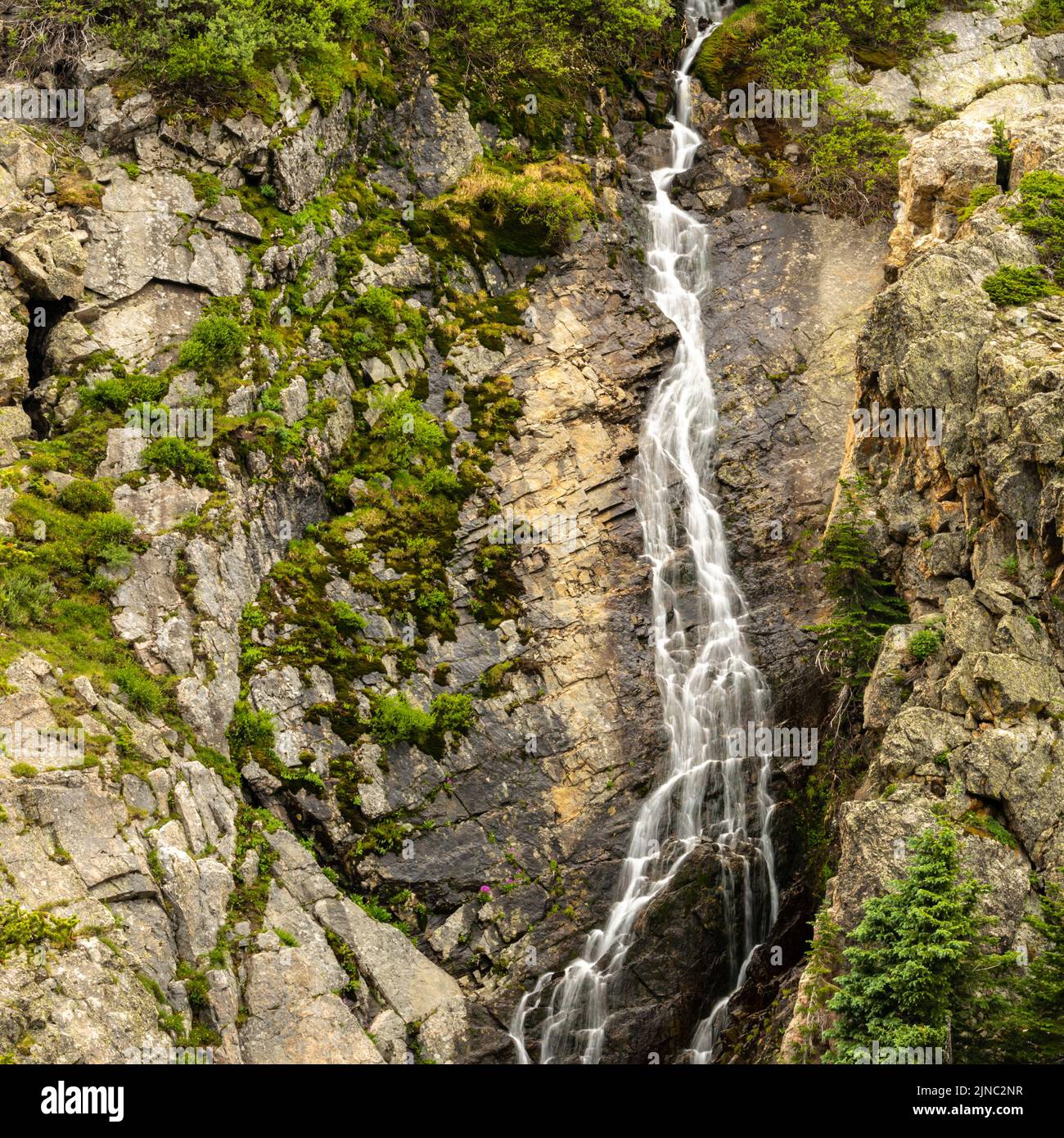 Cascade of Water Falls Over Mossy Cliff Face in Rocky Mountain National ...