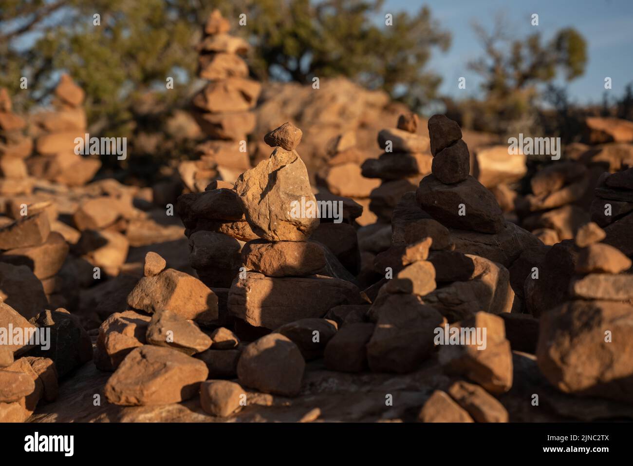 Leave arch hi-res stock photography and images - Alamy