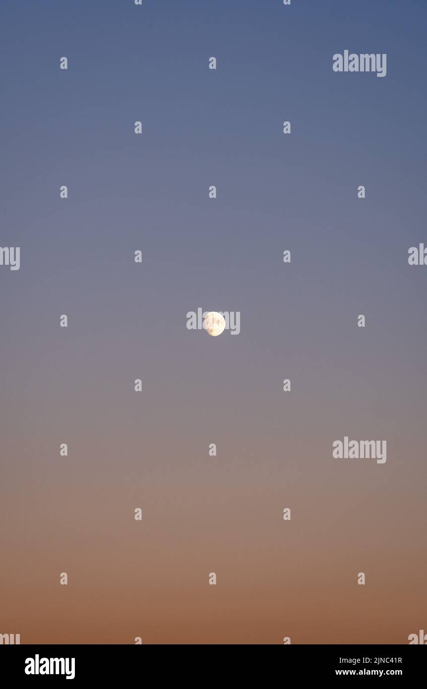 A vertical shot of the bright almost full Moon with blue and orange ...