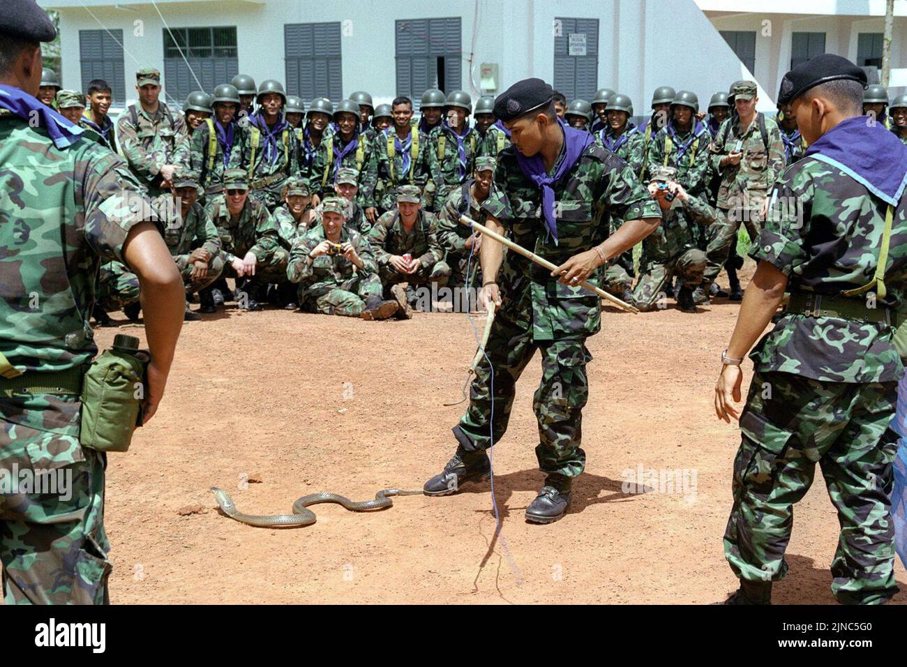 Fieldcraft hi-res stock photography and images - Alamy