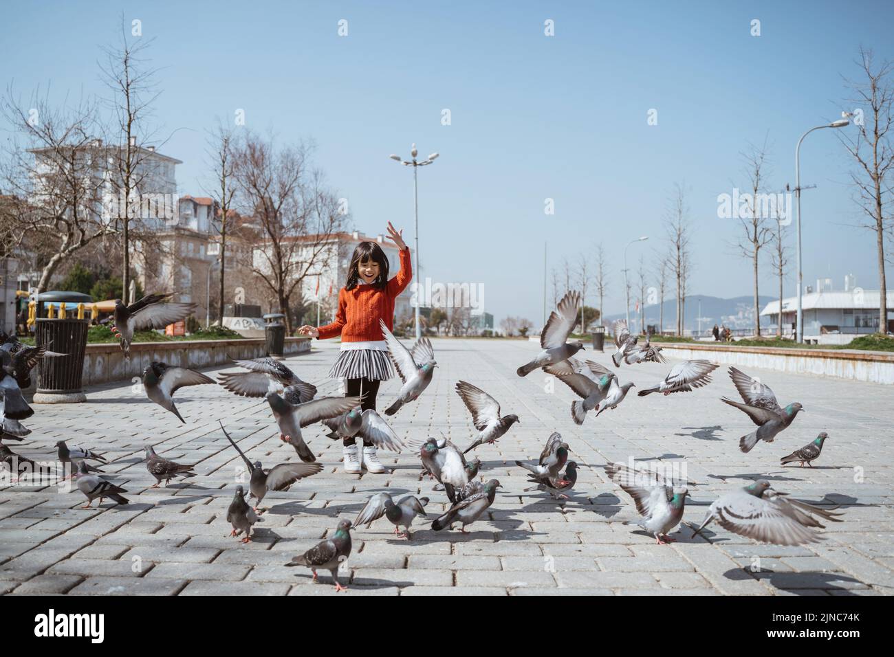 Asian girl feed bird hi-res stock photography and images - Alamy