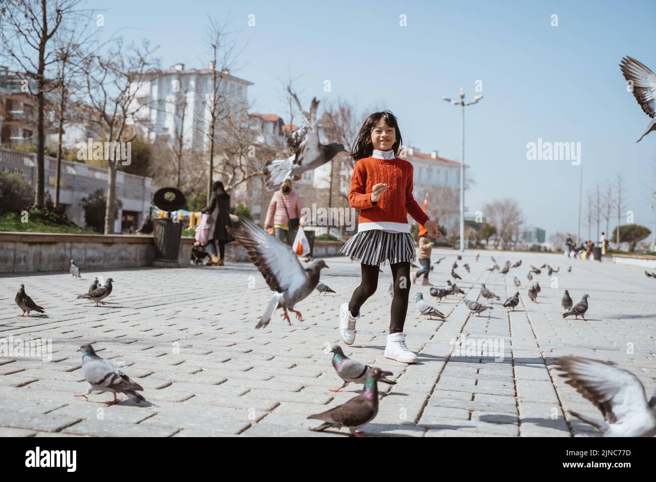 girl playing and chasing pigeons in city square Stock Photo - Alamy