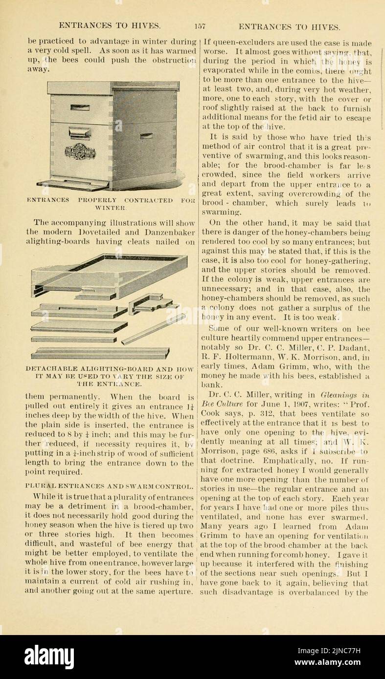 The ABC and XYZ of bee culture (Page 157 Stock Photo - Alamy