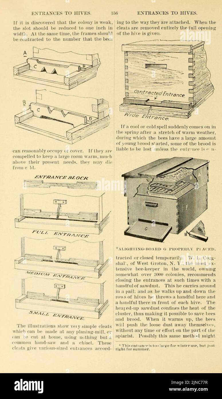 The ABC and XYZ of bee culture (Page 156 Stock Photo - Alamy