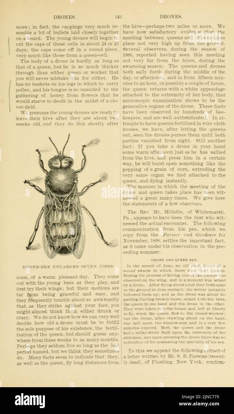 The ABC and XYZ of bee culture (Page 143 Stock Photo - Alamy