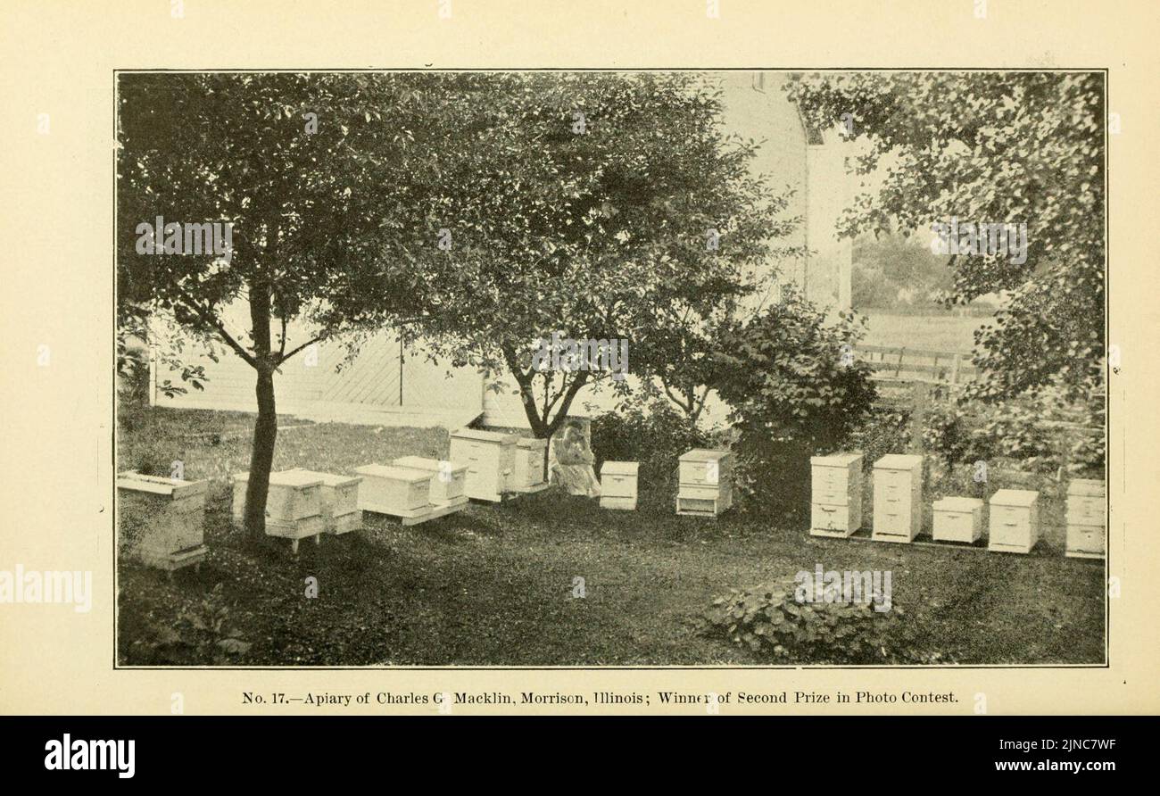 The ABC and XYZ of bee culture Stock Photo - Alamy