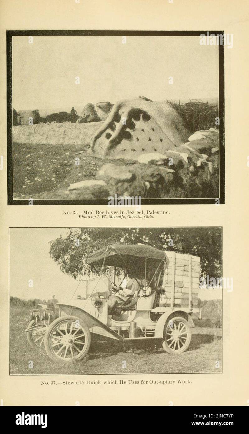 The ABC and XYZ of bee culture Stock Photo - Alamy