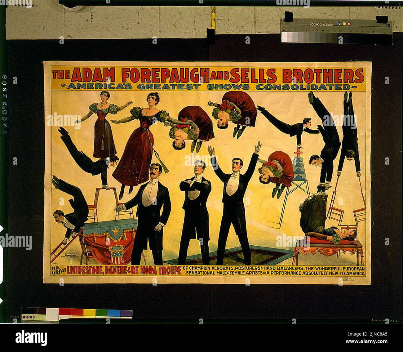 The Adam Forepaugh and Sells Brothers America's greatest shows ...