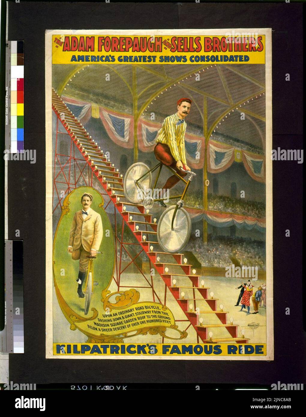 The Adam Forepaugh and Sells Brothers America's greatest shows ...