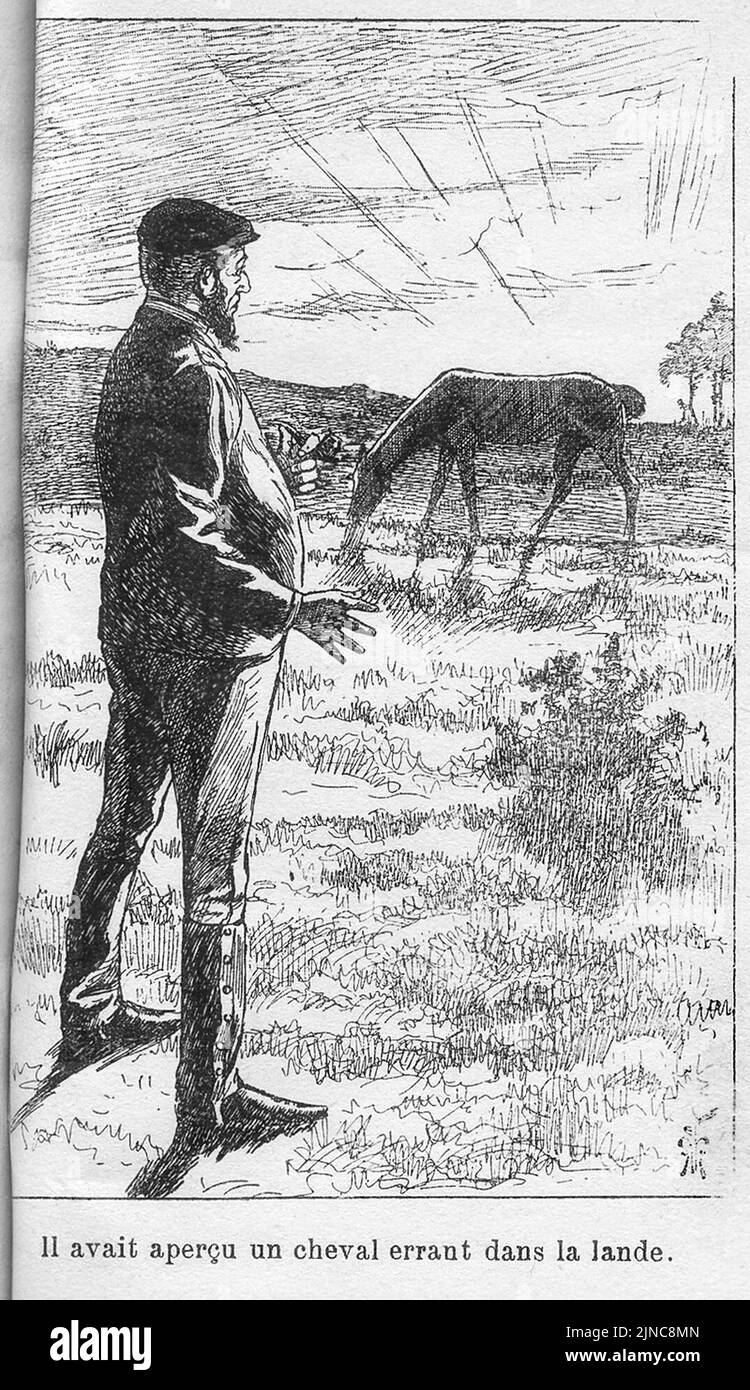 The Adventure of Silver Blaze by Martin van Maële 6 Stock Photo - Alamy