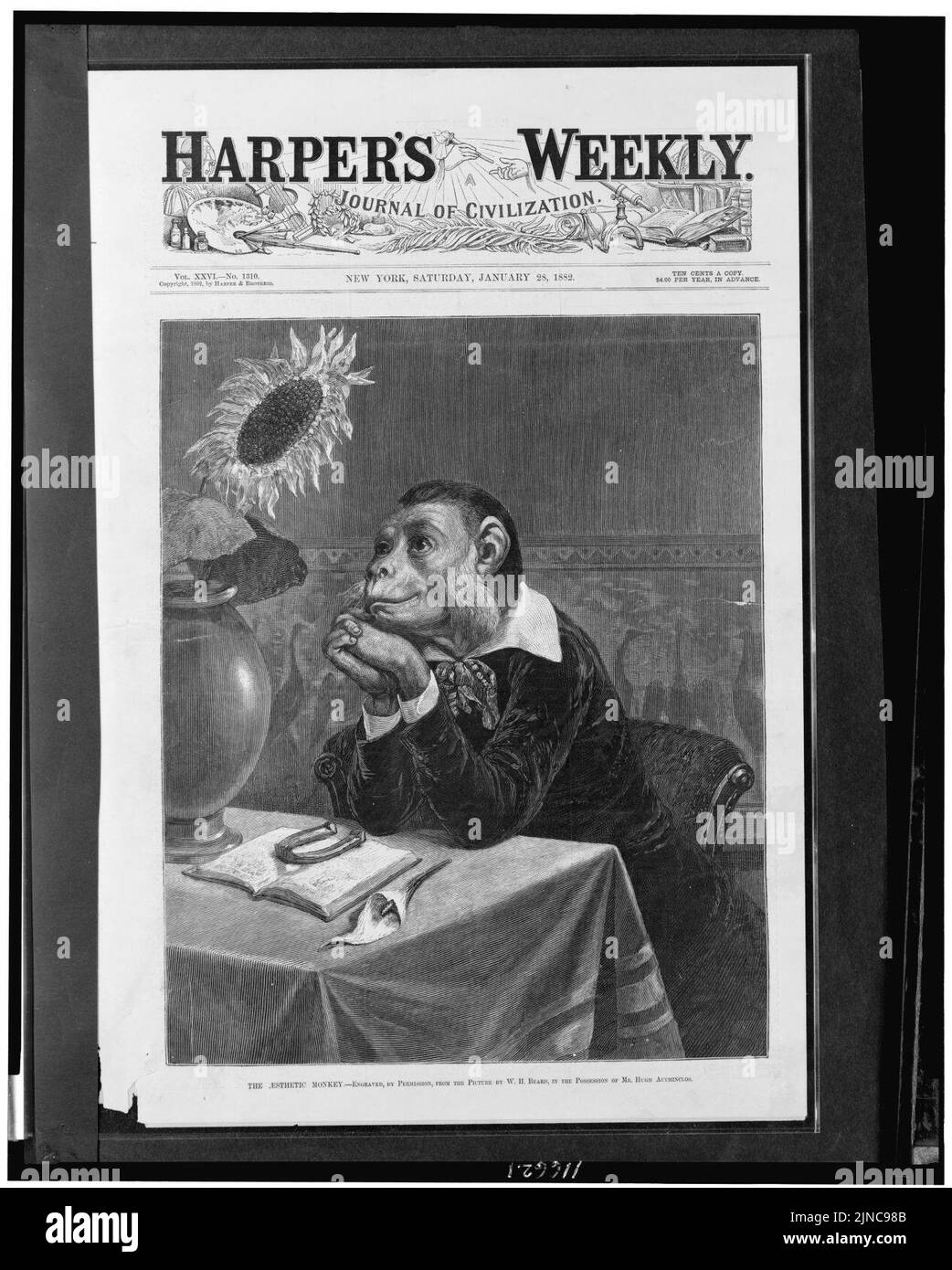 The aesthetic monkey - engraved, by permission, from the picture by W.H ...