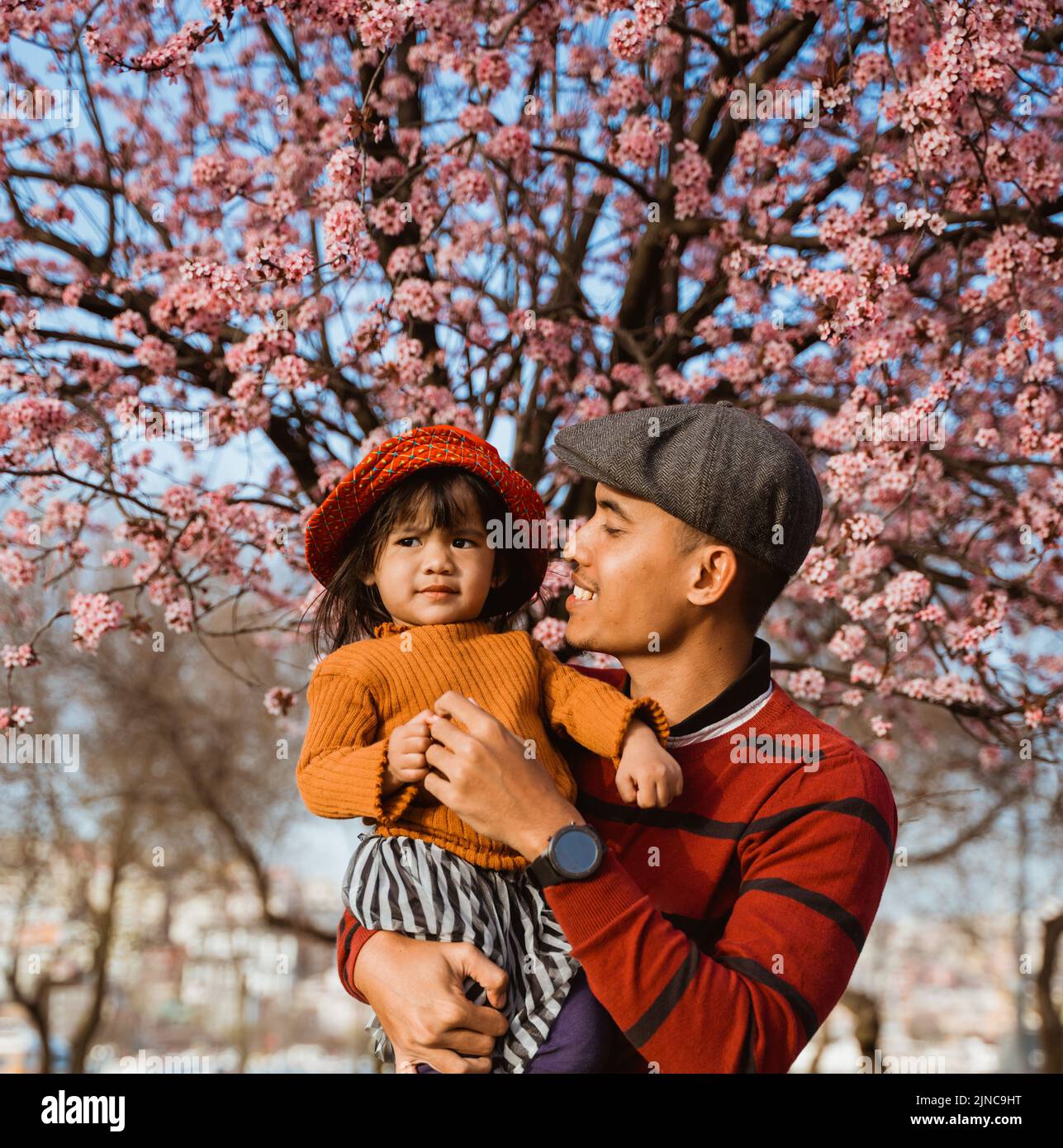 father and daughter looking at cherry blossom in the park Stock Photo ...