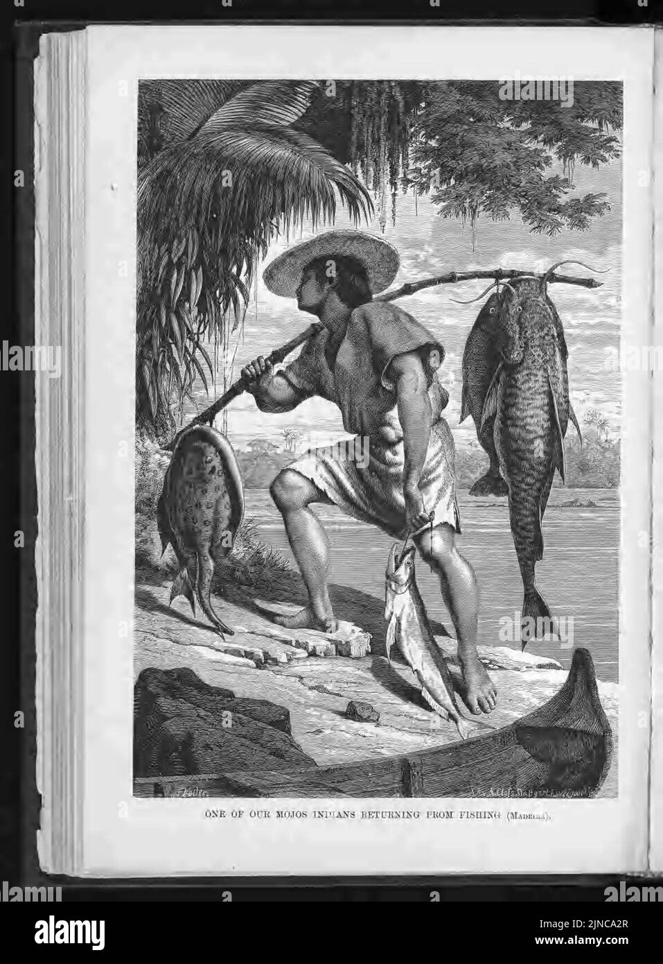 Amazon and madeira rivers hi-res stock photography and images - Alamy