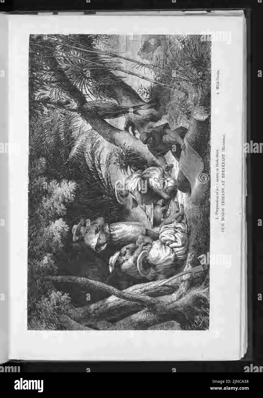 Amazon and madeira rivers hi-res stock photography and images - Alamy