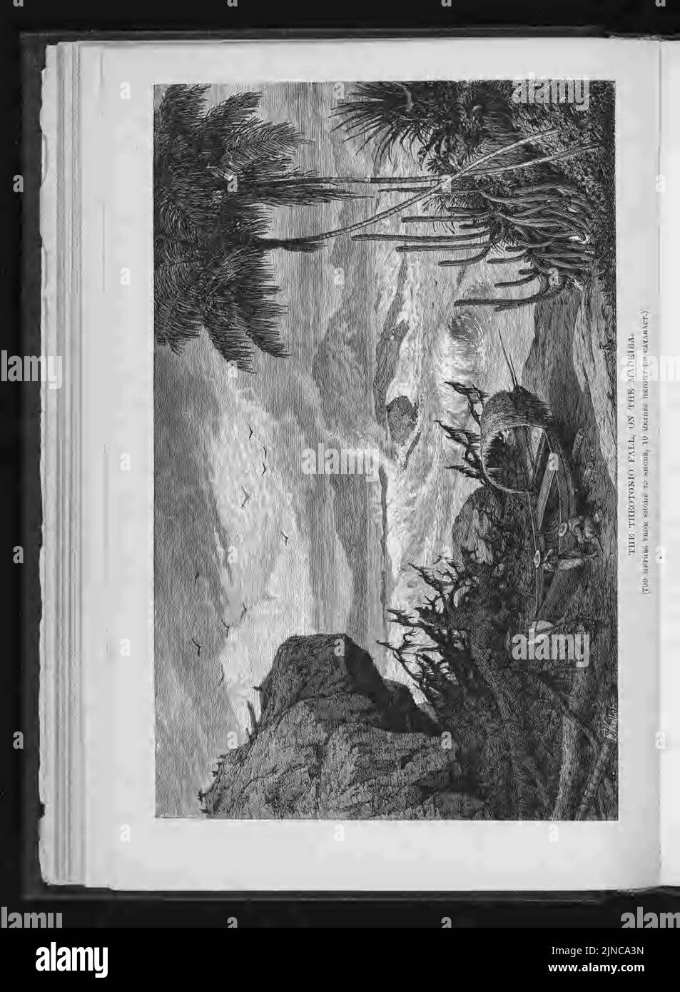 Amazon and madeira rivers hi-res stock photography and images - Alamy